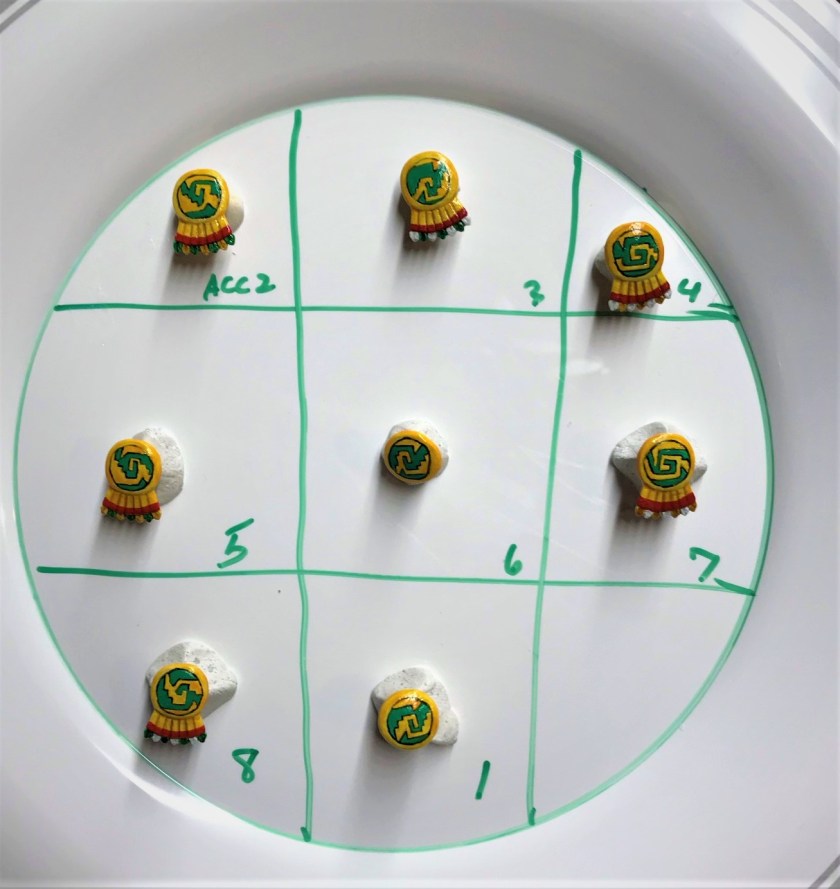 Aztec Shock Troops – Cuachic Warriors aka The Shorn Ones – Mark A. Morin